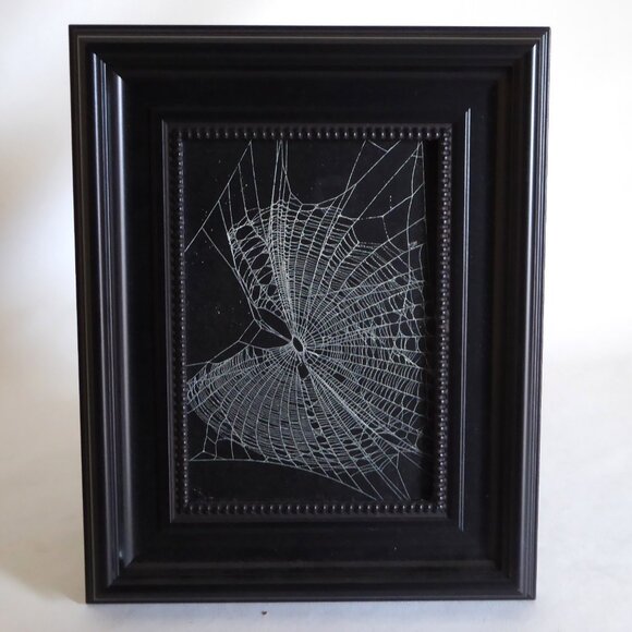 Art | Real Mounted Spider Web Halloween Frame Easel Decor Handmade ...